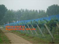 China Hot Selling Greenhouse Anti Insect Netting with Competitive Price,virgin hdpe anti insect net for agriculture, BAGPLASTI for sale