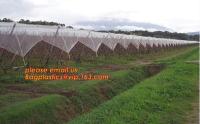 China Green Construction Building Scaffolding Safety Net /Safety Mesh Netting,construction scaffold net/scaffolding net/scaffo for sale