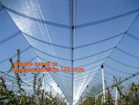 China Green Construction Building Scaffolding Safety Net /Safety Mesh Netting,construction scaffold net/scaffolding net/scaffo for sale