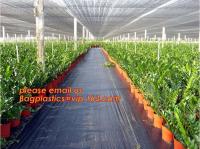 China Green Construction Building Scaffolding Safety Net /Safety Mesh Netting,construction scaffold net/scaffolding net/scaffo for sale