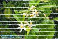 China HDPE Virgin White Recycle Greenhouse Anti Insect Net,50 mesh cover greenhouse agricultural anti insect net insect nettin for sale