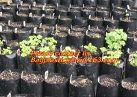China Hydroponic planter outdoor self watering plastic flower bag wholesale,Garden planter recycled plastic felt fabric plante for sale