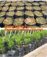 China Hydroponic planter outdoor self watering plastic flower bag wholesale,Garden planter recycled plastic felt fabric plante for sale