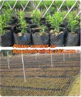 China Hydroponic planter outdoor self watering plastic flower bag wholesale,Garden planter recycled plastic felt fabric plante for sale