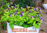 China cultivating bags, 100% biodegradable various Wholesale Poly Black Square Garden Plastic Baby Flower Plant Nursery Poly B for sale