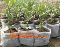 China non woven 1gal 2gal 3gal 5gal 7gal 10gal 20gal 30gal White Black PE Plastic Plant Nursery Grow Bag with Drainage Hole for sale