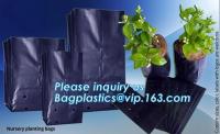China Grow bag, planter bags, nursery bags, agro planting bag, seedling bag, spling bag, custom size, color, bales with logoes for sale