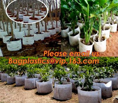 China Grow Bags with Flap and Handles Collapsible 10 gallons,garden plant growing pot felt grow bag with Handles, bagpac, pak for sale