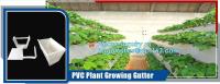 China plastic flowerpots Garden plants pot flowers nursery plastic pots,home & garden low price porcelain blue and white plant for sale