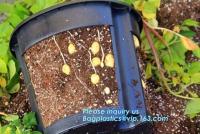 China potato plant pot with plastic material,planting pots potato basin, Hydroponic vertical growing systems PP plant flower for sale