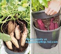 China potato plant pot with plastic material,planting pots potato basin, Hydroponic vertical growing systems PP plant flower for sale