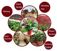 China potato plant pot with plastic material,planting pots potato basin, Hydroponic vertical growing systems PP plant flower for sale