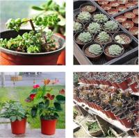 China potato plant pot with plastic material,planting pots potato basin, Hydroponic vertical growing systems PP plant flower for sale
