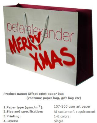 China Water resistant luxury tote carrier wine paper bag,Professional made custom luxury paper carrier bag, paper bag for gift for sale