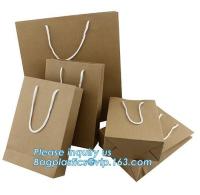 China Custom Best Quality Paper Shopping Luxury Eco Carrier Bags Colored Paper Gift Bags With Handles,paper carrier bag luxury for sale