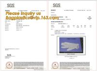 China Powder Free Disposable Vinyl PVC Gloves 5.5 grams 9 inches and 12 inches,Health Cleanroom 12