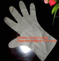China Wholesale gloves transparent plastic glove disposable clear pe medical glove,Food grade Oil resistant Glove PE CPE Dispo for sale