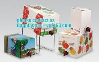 China Filling Aluminum Foil Laminated Clear Plastic Red Wine Pack Packaging Storage Bag In Box,Aluminum Leakproof Bag In Box F for sale
