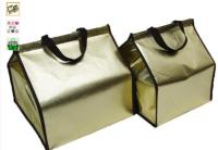 China Commercial Quality Thick Insulation Food Delivery Bag,OEM Logo Thick Insulation Cooler Tote Food Delivery Bag bagease for sale