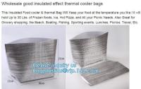 China Reusable aluminium foil thermal insulation material cooler bag foPromotional 420D Polyester Insulation Picnic Cooler Bag for sale