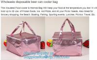 China Reusable aluminium Portable Oxford Cloth Insulation lunch bag Quality Thermal cooler Disposable Office Lunch Bag PACK for sale