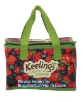 China picnic grocery cooler tote insulation small thermal bag for food,Factory Wholesale Low Price Cooler Bag Handbag Oxford C for sale