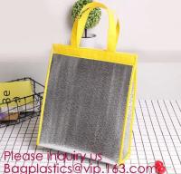 China Customized logo printing insulated food delivery cooler bag,wholesale waterproof food delivery thermal bags bagplastics for sale