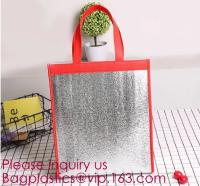 China Customized logo printing insulated food delivery cooler bag,wholesale waterproof food delivery thermal bags bagplastics for sale