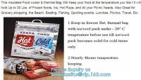 China Reusable Insulated Aluminium Foil 6 Pack Cooler Bag Lunch Bag Thermal Bag,foil ldpe food delivery thermal bag bagease for sale