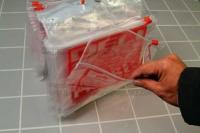 China Fresh vegetable Grape Cherries transparent plastic Packaging Bag, Slider Zipper Cherry Packing Bags, GRAPE & CHERRY BAGS for sale