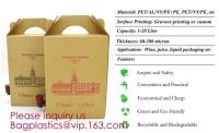 China apple juice aseptic bag in box wine dispenser,wine bag in box,winebag,Laminated bag in box wine dispenser bagease pack for sale