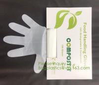 China Biodegradable and compostable PLA gloves,OEM cheap biodegradable kitchen disposable gloves with EN13432 BPI OK compost h for sale