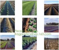 China Factory Manufacturer EN13432 100% Compostable and biodegradable Agricultural Mulch film, starch plant based wrap film pa for sale