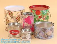 China OEM ODM Accepted 680ml Plastic PET Clear Round Can For Mint Storage,Clear 1 gallon PET paint can & lid with metal handle for sale