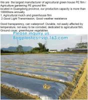 China 200 Micron Uv Resistant Film Greenhouse Perforated Mulch Agricultural Film Vegetable Planting for sale