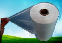 China Supermarket Shopping Fresh Fruit Vegetable Packaging Plastic Bag On Roll Polythene Bags, Ldpe Bags, Hdpe Bags, Food Serv for sale