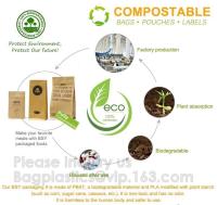 China Biodegradale Compostable Packaging Roll Film Slide Zipper Garment Bag Food Packing Bag 3 side seal bag Kraft Paper Bag for sale