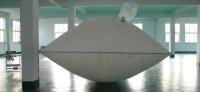 China Liquid pac Palm Oil Storage FIBC Jumbo Bags Flexibag Container 20ft 24000L Bulk Vinger bladder bag fuel oil transport for sale