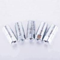 China Black Stainless Steel Grease Nipple Coupler 10000 PSI for Injection Packers for sale