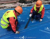 China Polyester Composite Polymer Coiled Material for Building Roof House and Railway Tunnel for sale
