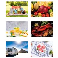 China 18L Portable Car Refrigerator 12/24V DC and 100-240V AC Quick Cooling Camping Travel Fridge for sale