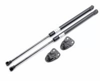 China High Quality Truck Tailgate Assist Damper Trunk Liftgate Tailgate Shocks Lift Supports Gas Spring for sale