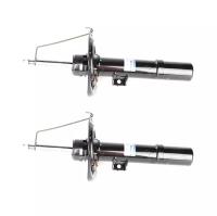 China 72308 339023 339193 339192 339024 Suspension Shock Absorber 72307 802308 802307 for sale