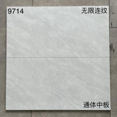 China Durable 600*1200mm Ceramic Wall Cladding Tiles Indoor Outdoor Home Building Materials for sale