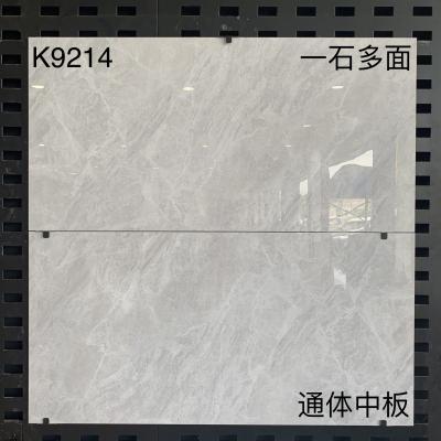 China 900*1800mm Interior Ceramic Tiles Ceramic Porcelain Tile For Home Building Projects for sale