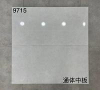 China High Insulating Internal Porcelain Tiles External Ceramic Wall Tiles Wear Resistance for sale