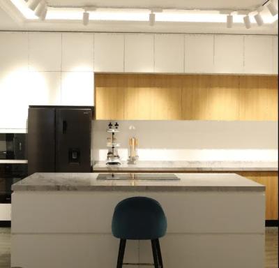 China Stylish Strong Custom Wood Stainless Steel Cabinets and Wardrobes for Superior Storage for sale
