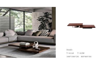 China Vintage Modern Indoor Furniture For Home With Simple Installation Process And Easy To Clean Functionality for sale