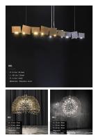 China Create the Perfect Atmosphere with Custom Light Colors for Your Home Lighting for sale