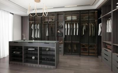 China Customized Wood Stainless Steel Wardrobe for Modern Decor for sale
